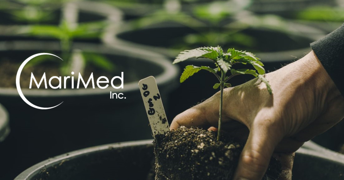 Investor Relations :: MariMed Inc. (MRMD)